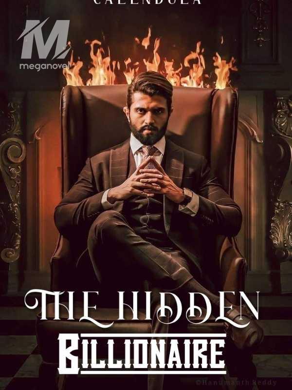 The Hidden Billionaire PDF & Novel Online by Calendula to Read for Free - Urban/Realistic ...