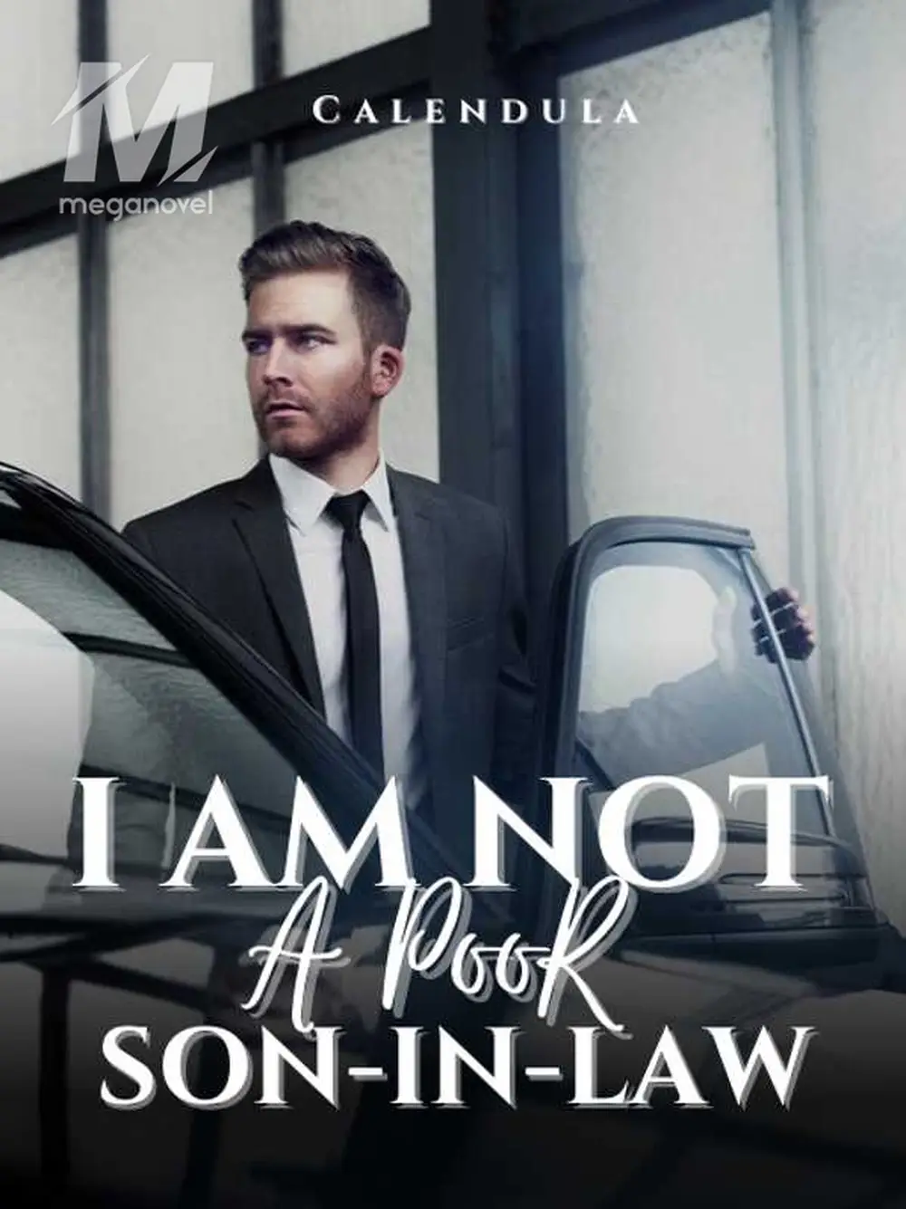 Free CHAPTER 1-FATHER-IN-LAW'S BIRTHDAY of I AM NOT A POOR SON-IN-LAW ...