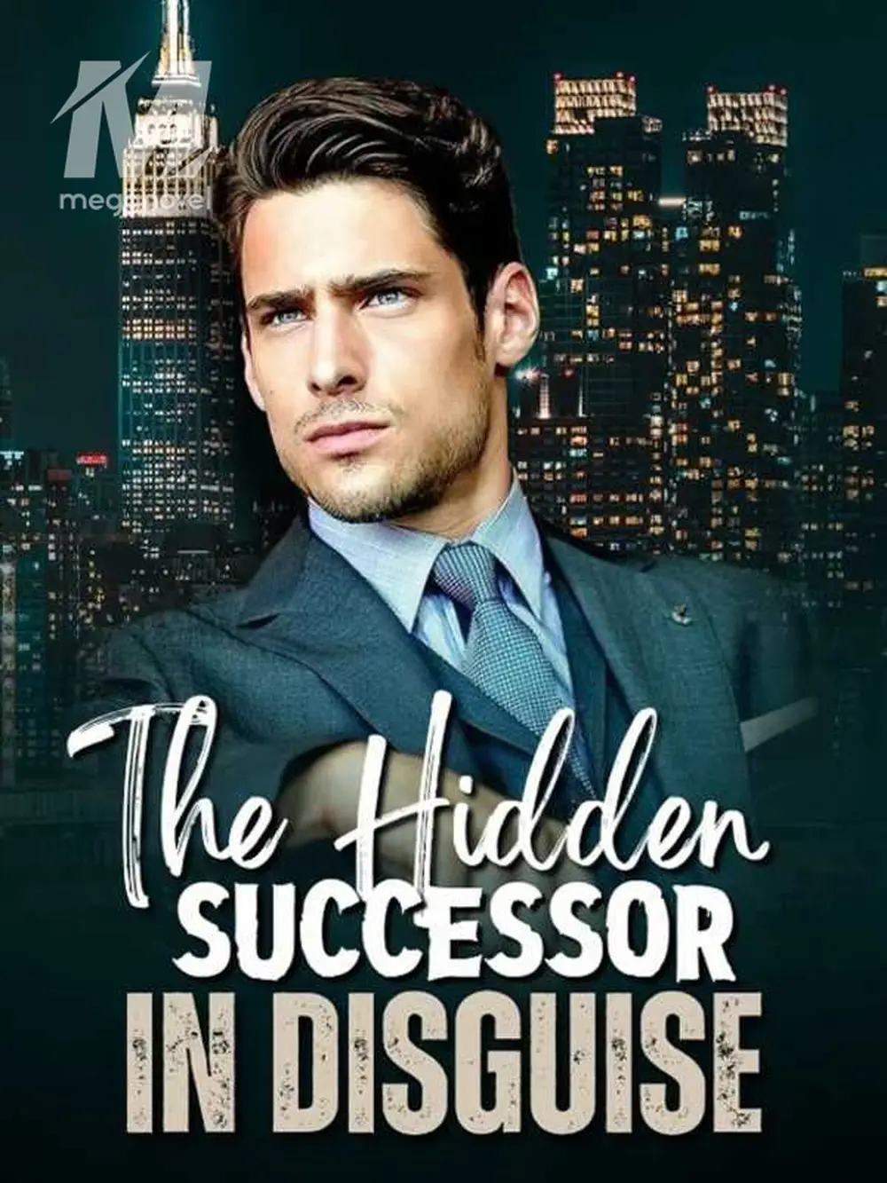 The Hidden Successor In Disguise - Chapter 339 Novel & PDF Online by ...
