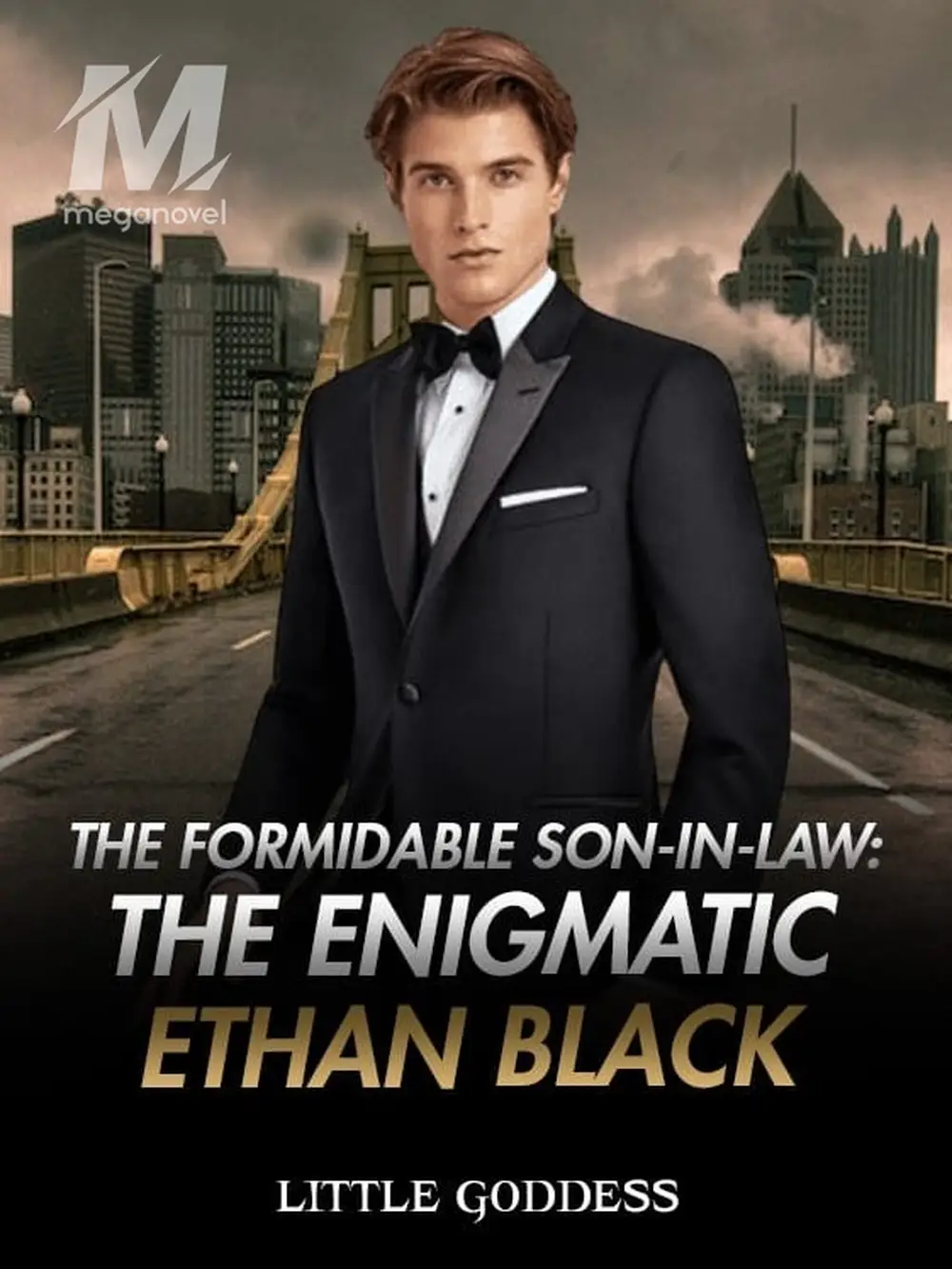 Free Chapter 4 of The Formidable Son-In-Law: The Enigmatic Ethan Black ...