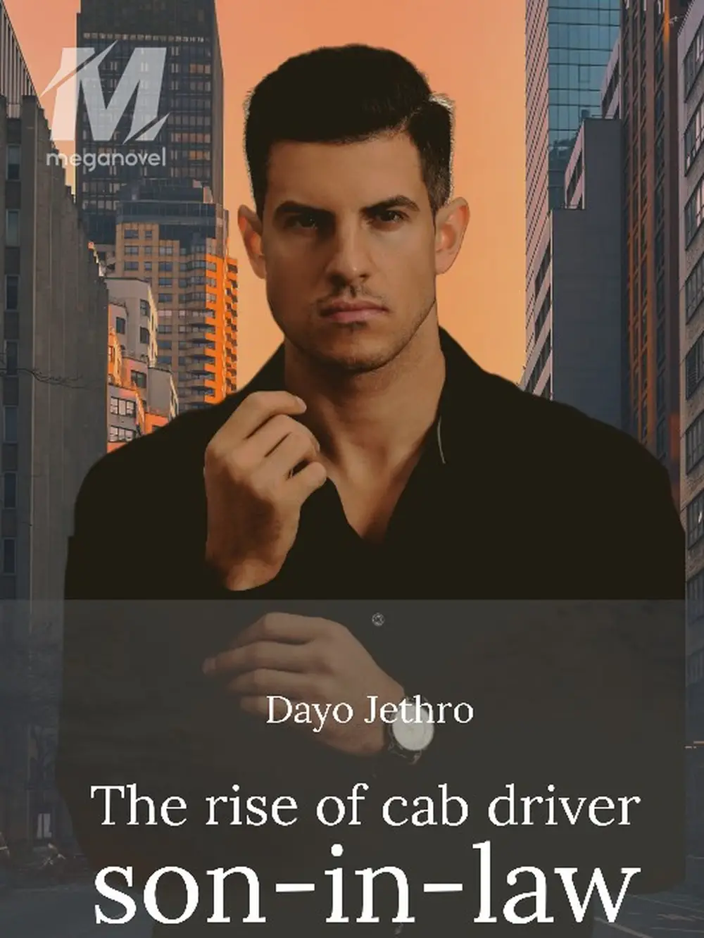 The rise of a cab driver son-in-law to a billionaire. - 01 Novel & PDF ...