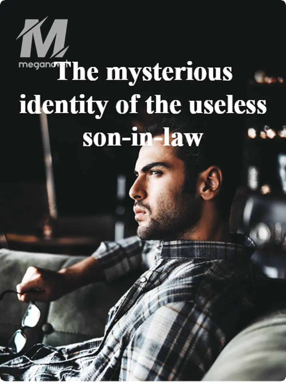 The mysterious identity of the useless son-in-law - Chapter 161 Novel ...