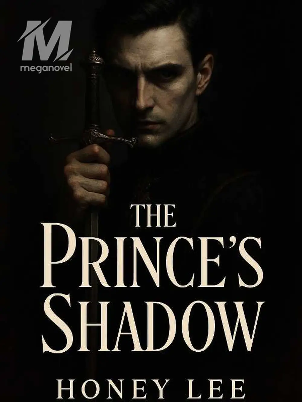 The Prince's Shadow - Chapter 38: The Phantom Touch Novel & PDF Online by Honey Lee | Read ...