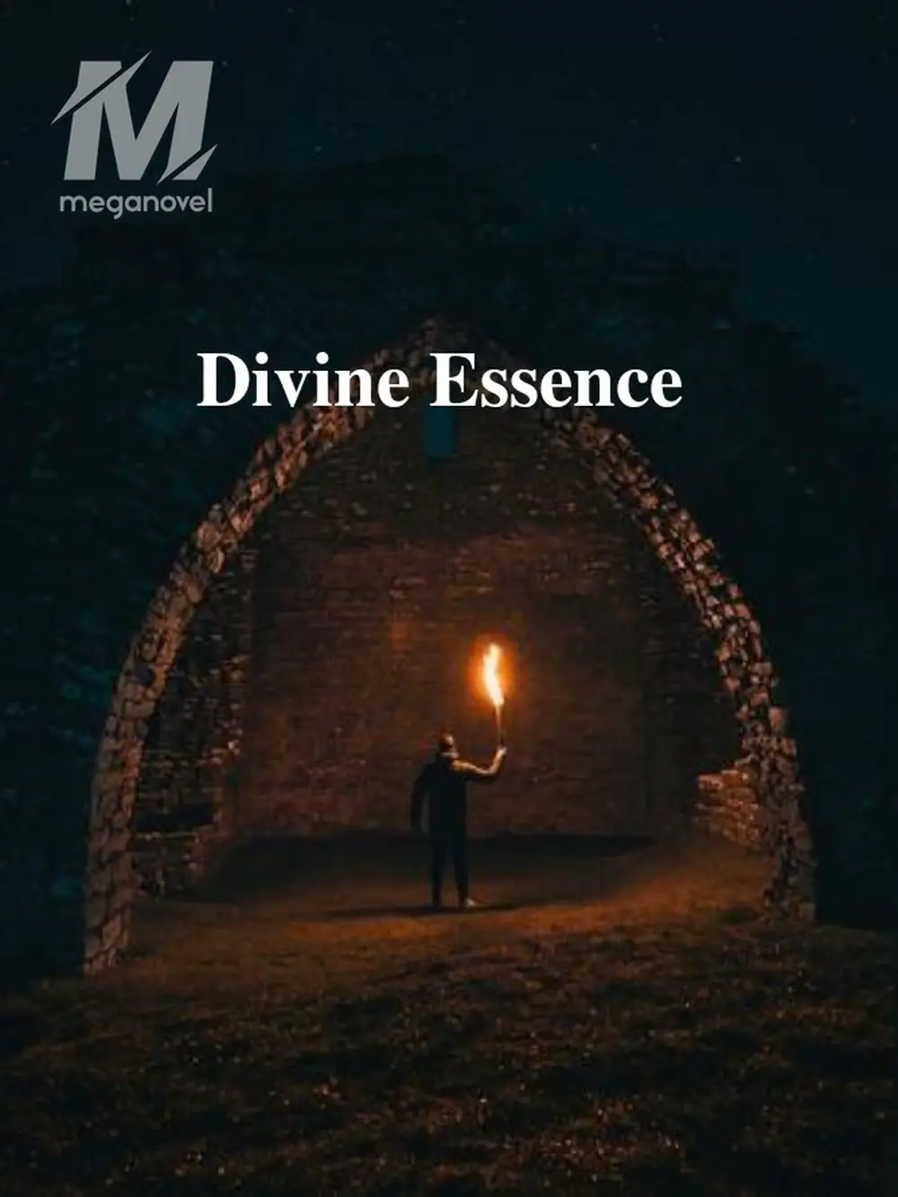Free Chapter 6: Gate To The Beyond of Divine Essence Online | MegaNovel